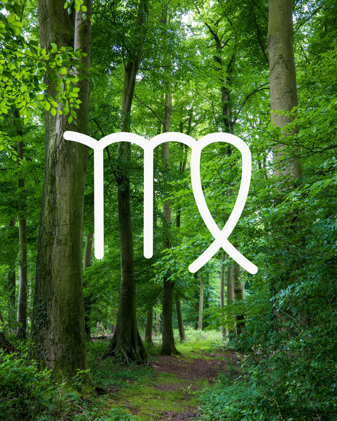 Gifts for Virgo | Earth Sign Skydiamond Jewellery